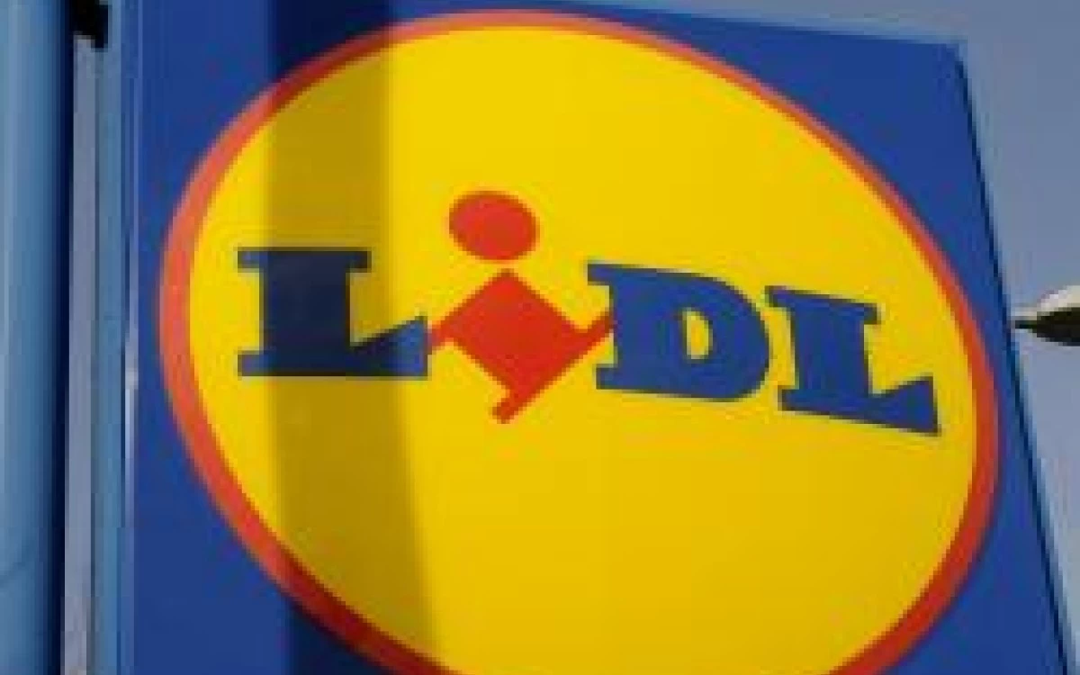 Lidl owner targets over 100 billion euros in sales in 2018 | Progresiv