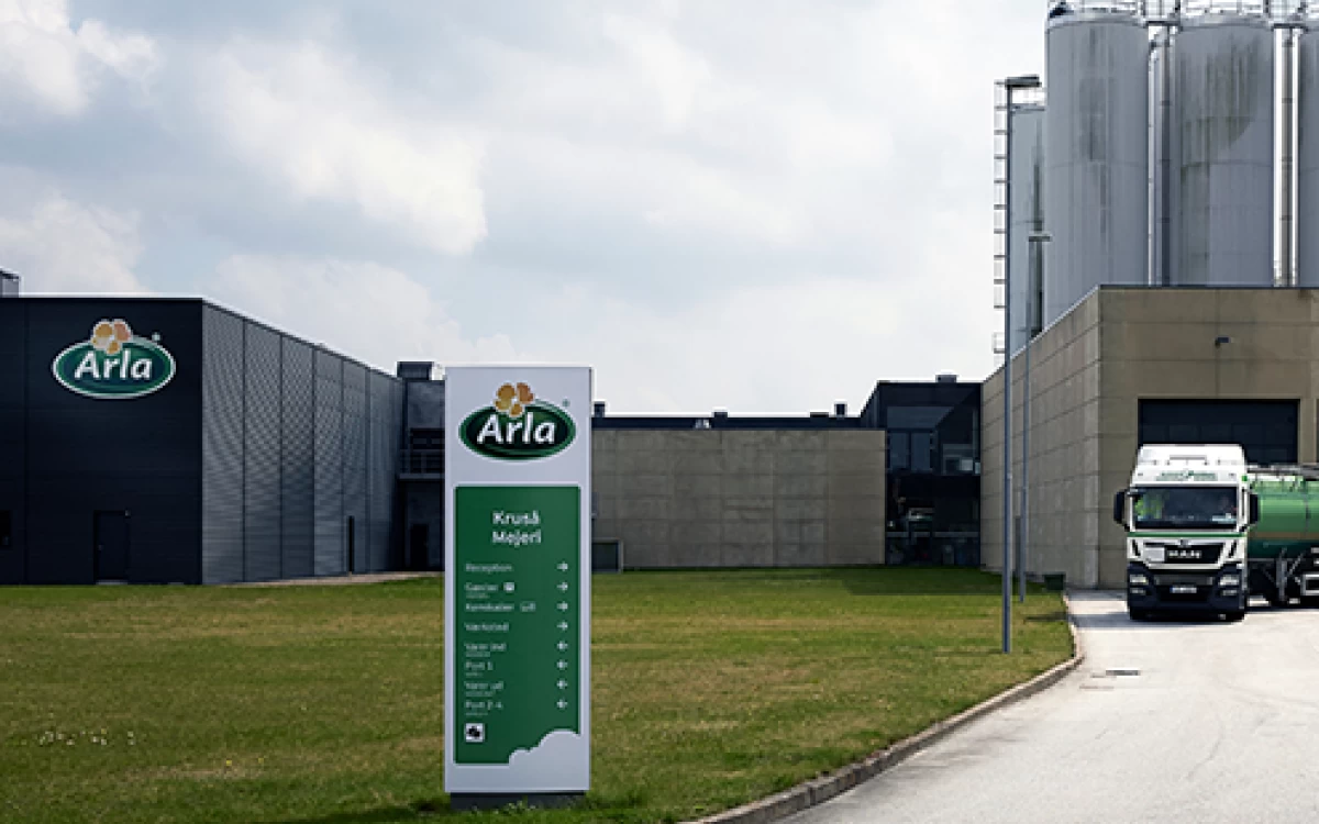 Arla buys Mondelēz’s processed cheese division in the Middle East ...