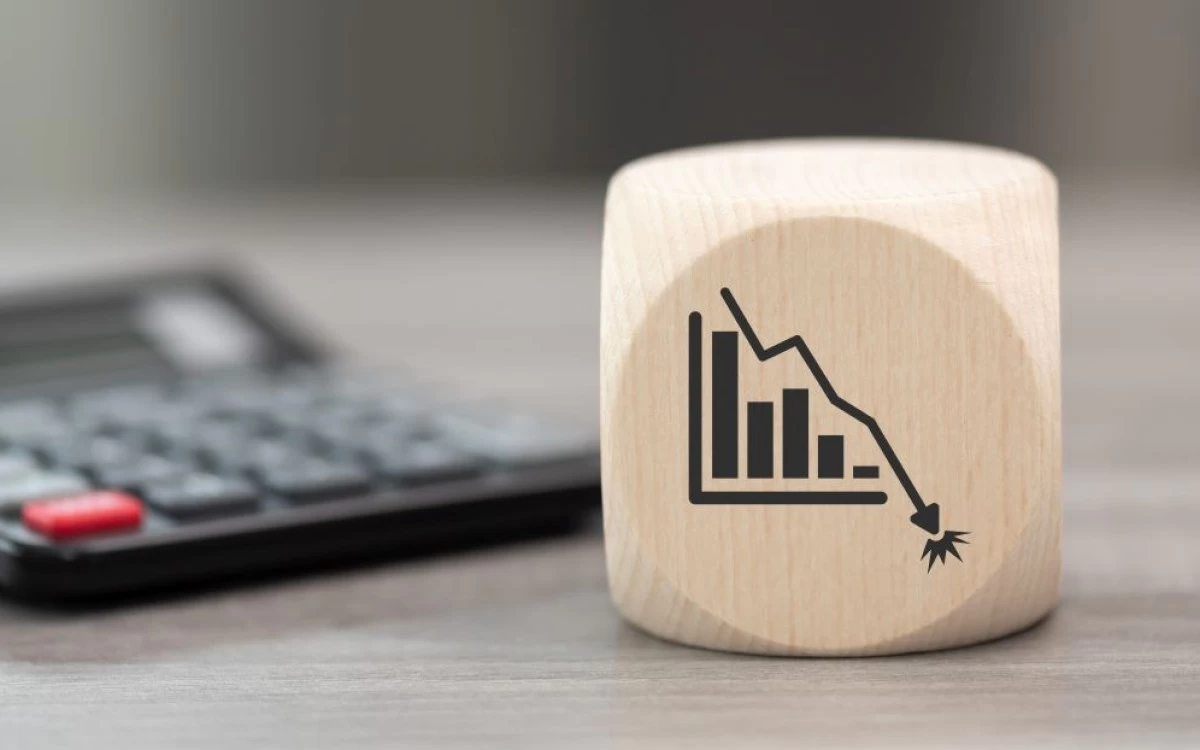 Coface: Există semne de revenire economică determinată de consum ...
