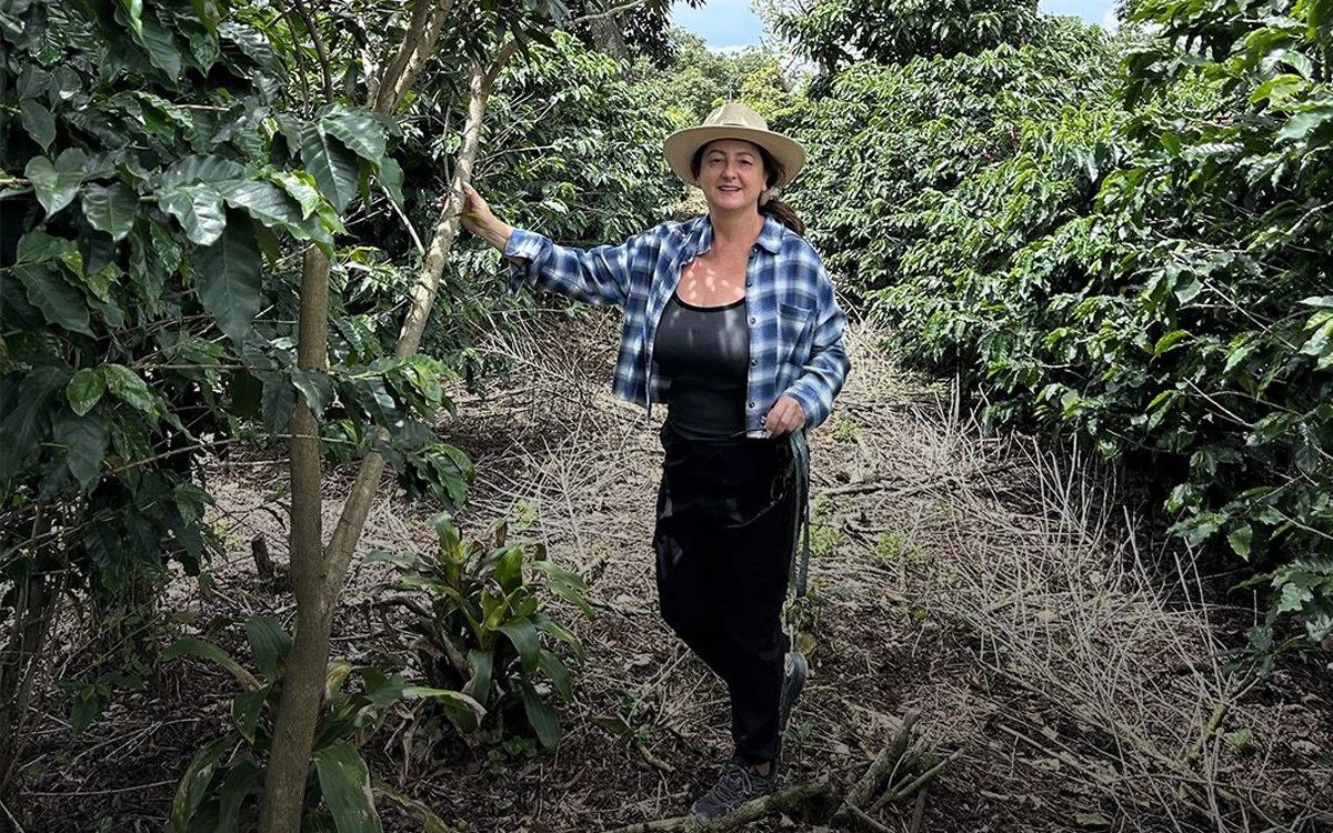 Nespresso obține certificarea Rainforest Alliance pentru cafeaua ...